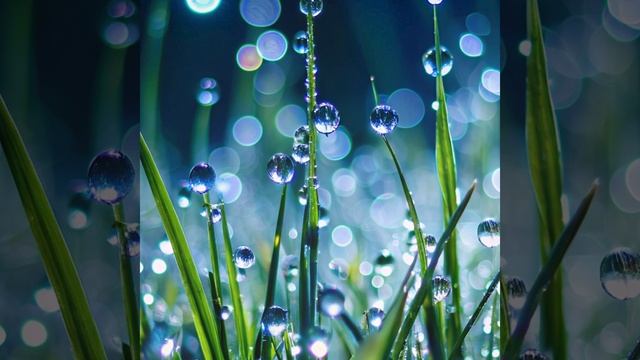 Пульс Ориона в моих венах. 3 цитата.