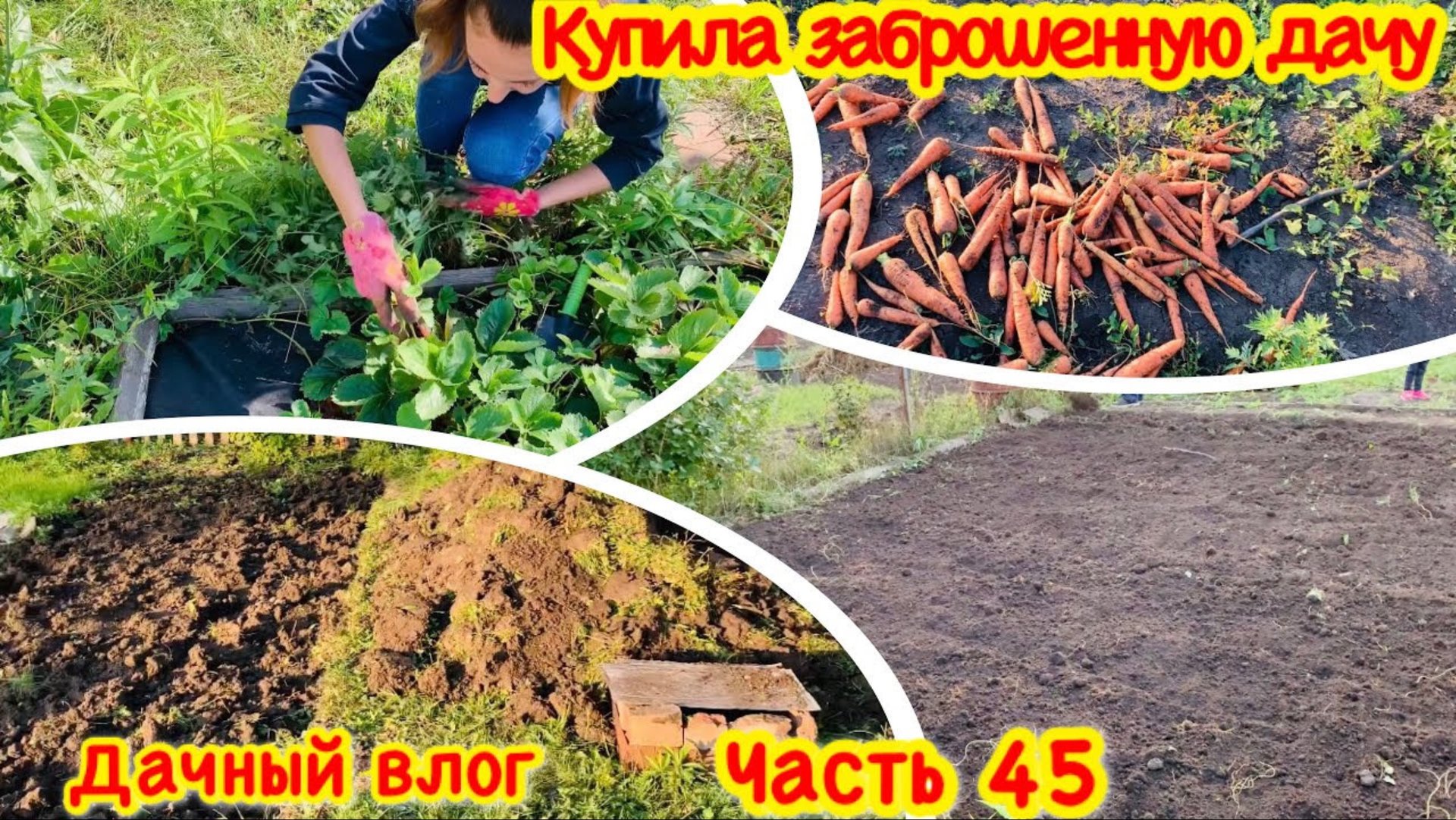 СПАСАЮ СВОЙ ЗАРОСШИЙ ОГОРОД/ВСЕ ЗАРОСЛО СОРНЯКАМИ/ПЕРЕСАЖИВАЮ ВИКТОРИЮ/ПЛОЩАДКА ПОД ГАЗОН