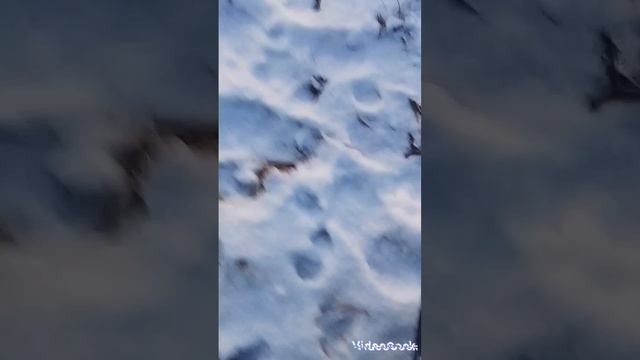 ров я зимой