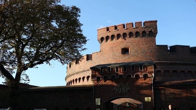 Экскурсия «Жемчужина вального кольца» вокруг башни «Дона»