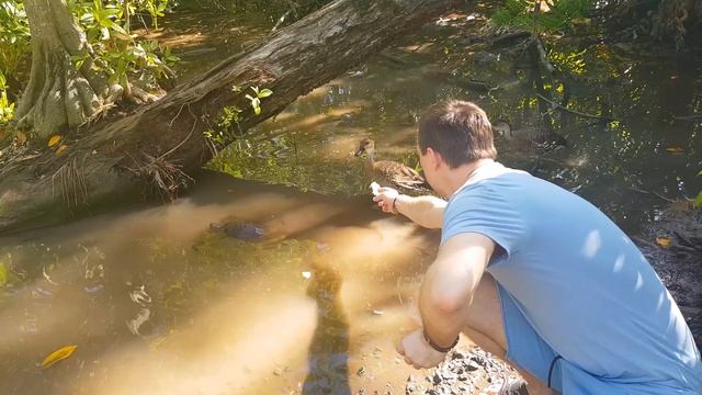 Доминикана. Живая природа в Caribe Delux Princess и Tropical Delux Princess.