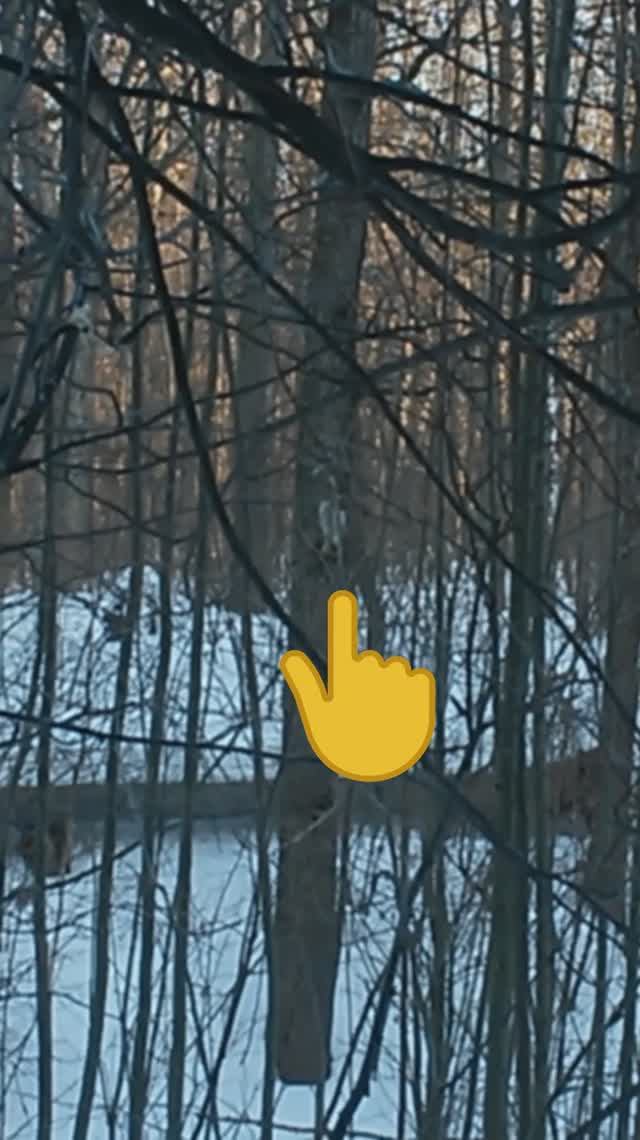 Их замечаешь когда они двигаются.
Их замечаешь когда они двигаются.