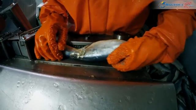 ЯМС "Восток-7" - Первый рейс