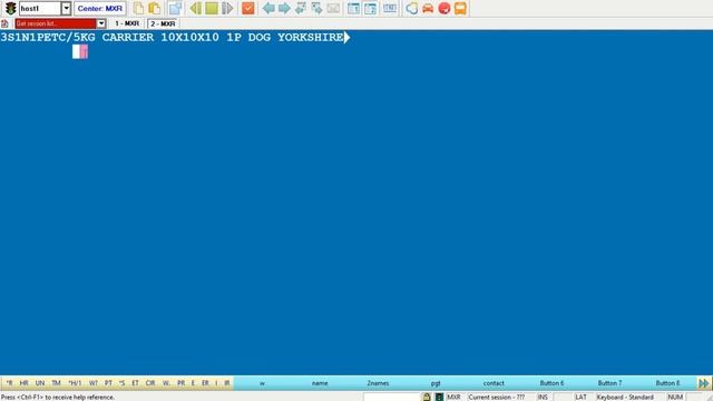 11 PNR optional elements