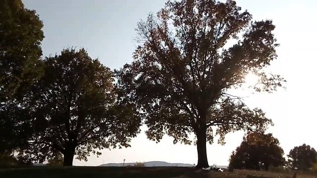 Золотая осень под Тольятти