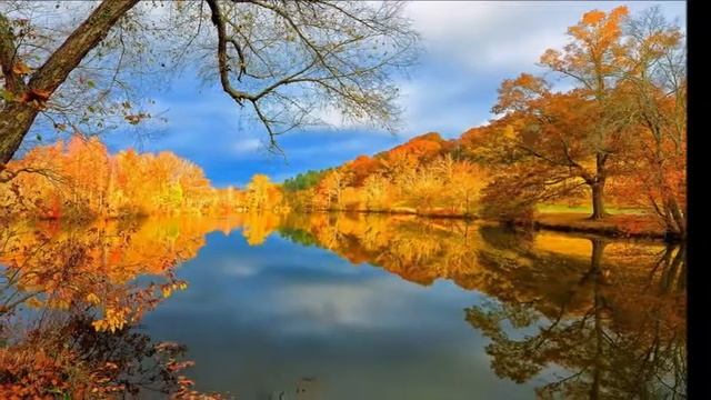 Любовь Нелен. Осенняя нежность