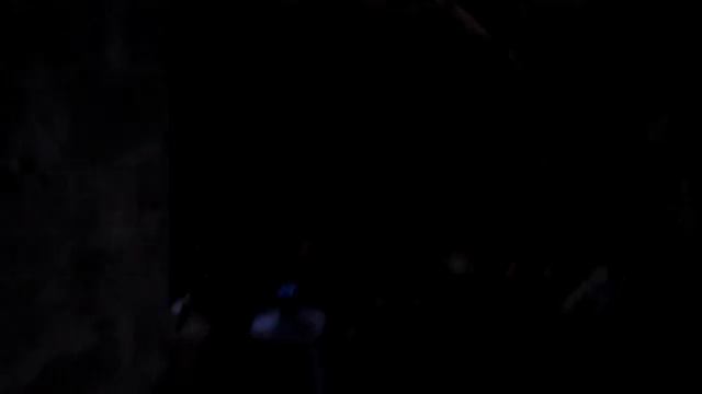 Поездка главного редактора на дачу "СИ"