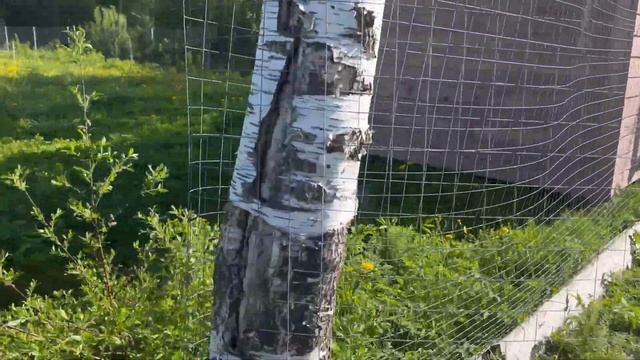 Из города в деревню. Май.