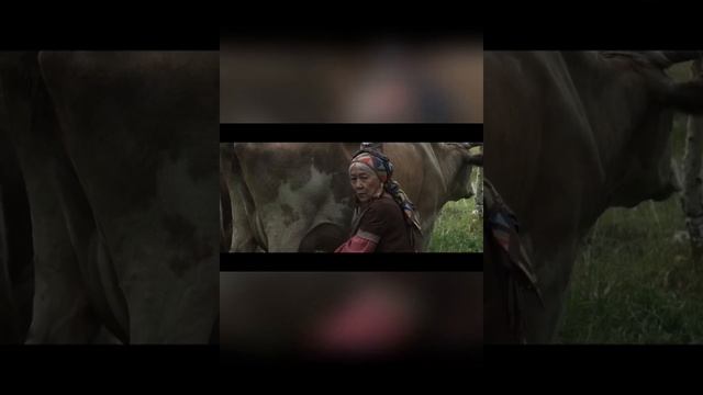 Бэйбэрикээн