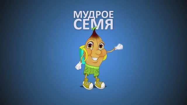 Мудрое семя игровой критерий пространство - учим ребенка оценивать ситуации