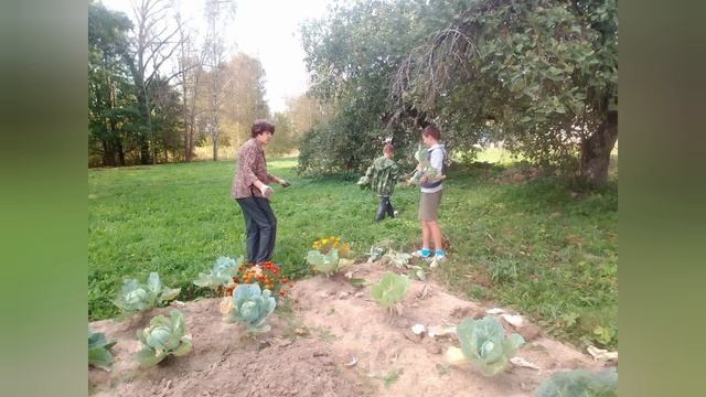 Дружно работаем!