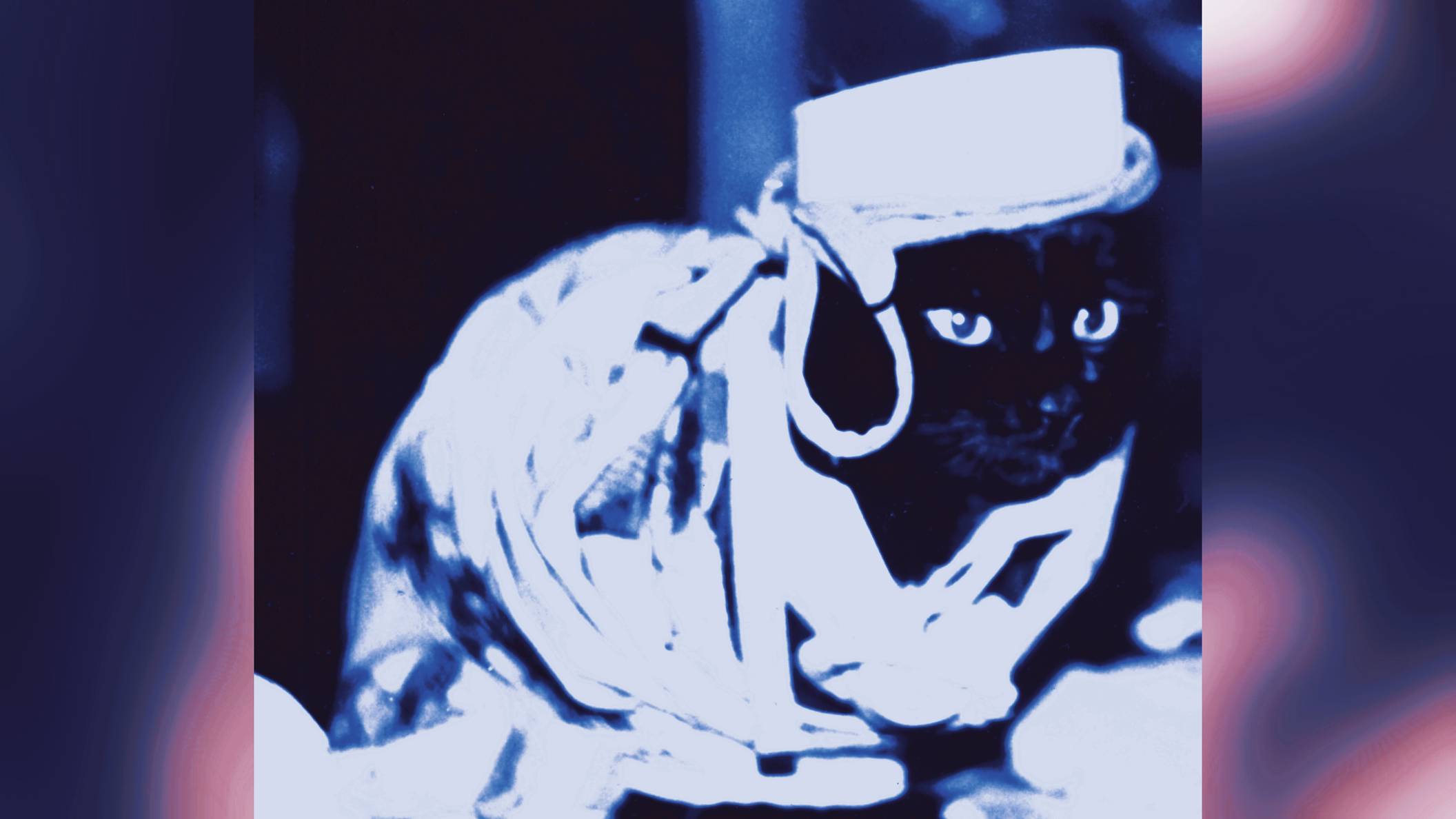 Мой любимый кот Татоша