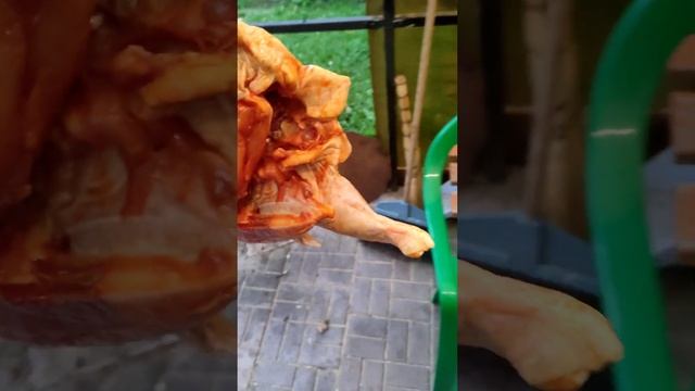 Ципленок табака в садже