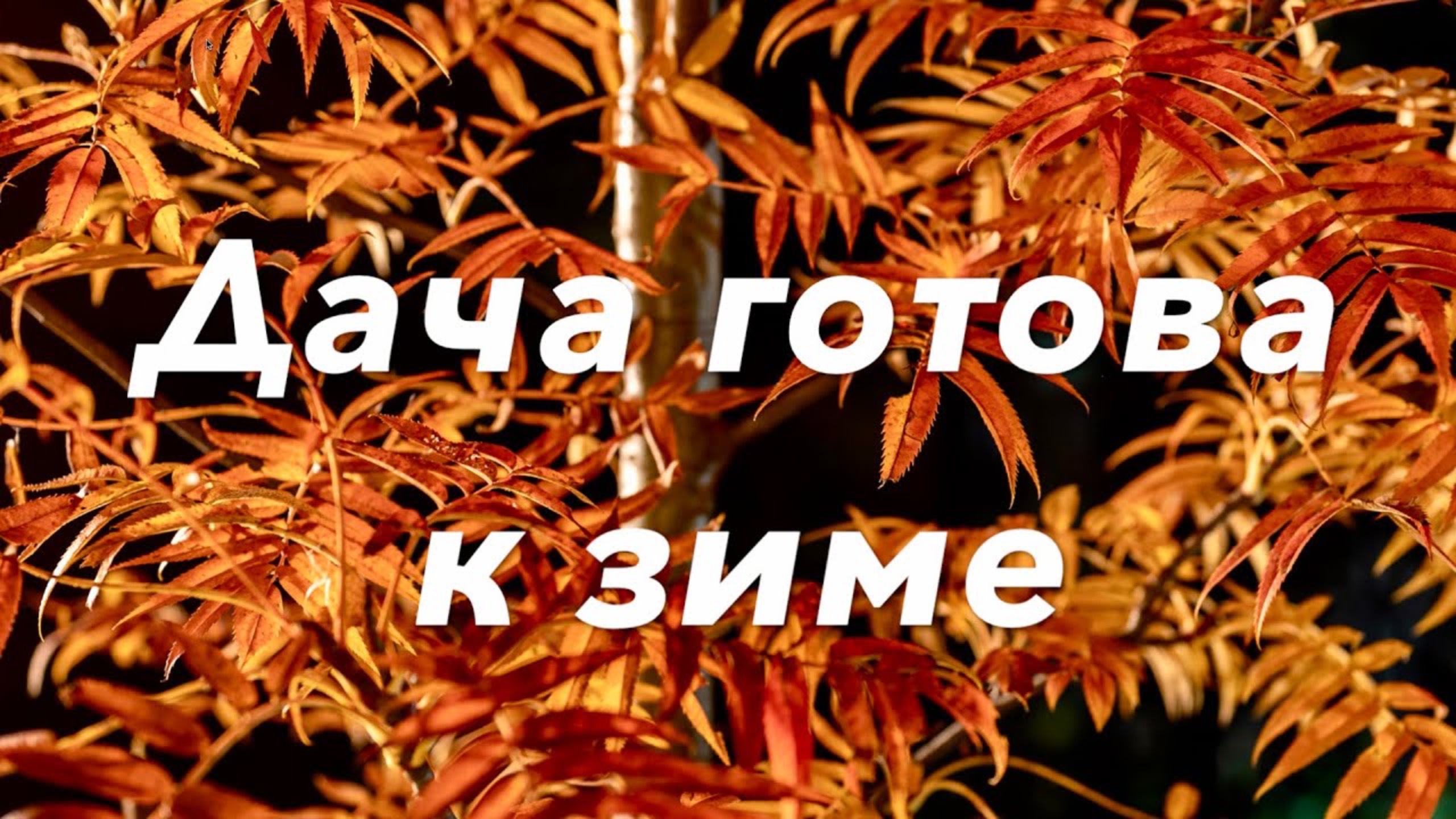 ДАЧА 6 СОТОК готова к ЗИМЕ / НОЯБРЬ