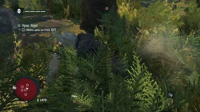 Assassin s creed Rogue прохождение часть 2 Уроки и Открытие