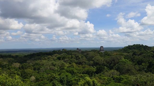 6. Тикаль город майа Гватемала