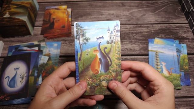 THE FELINE RIDER TAROT ОБЗОР КОЛОДЫ / НОВИНКА ТАРО! ОБЗОР ТАРО КОШАЧЬЕГО ВСАДНИКА