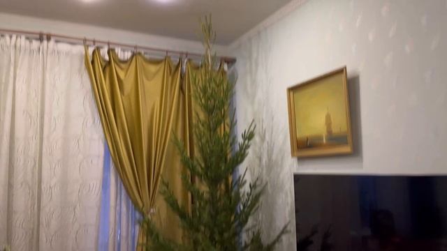 Купили огромную ёлку. Создаем новогоднее настроение.