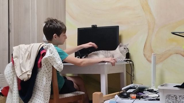 7.11.2024 Рамиль и Шлёпа= Любовь