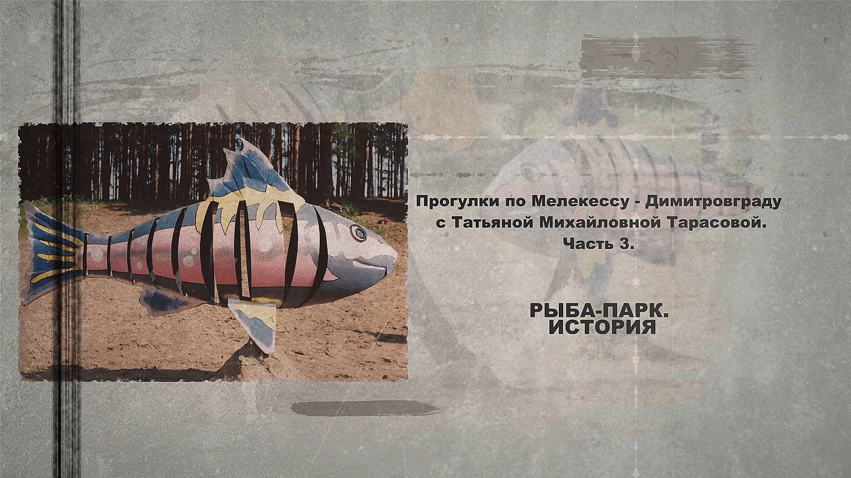 Истории о любимом городе. 10.11.2024