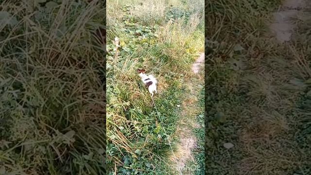 Немного теплого сентября🍁