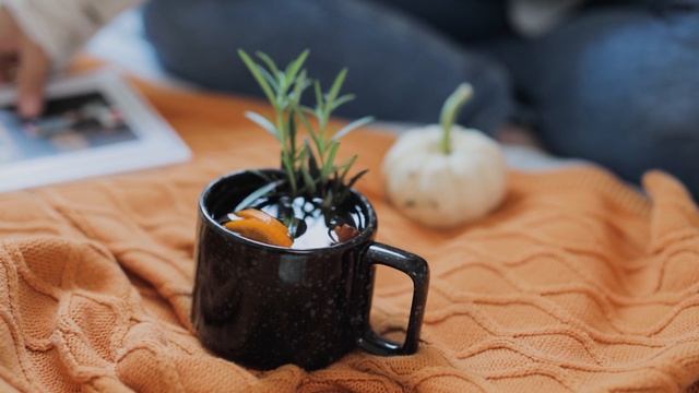 5422555-hd_1920_1080_25fps