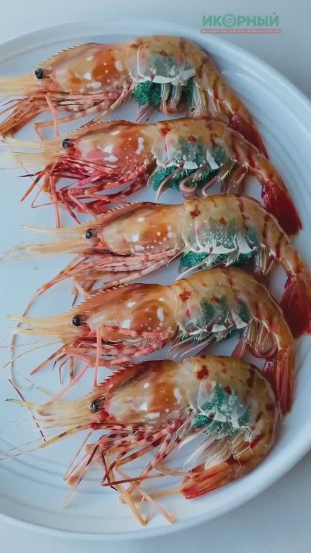 Обзор креветки «Ботан» с головой, свежемороженой. Гребенчатая креветка Ботан – ценный деликатес