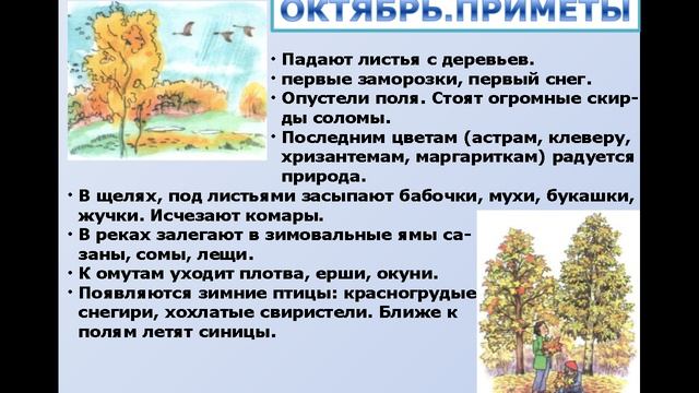 Занятие по теме "Времена года"  (3В класс)