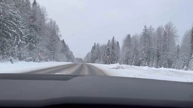 Поездка к родным. Ферма. Дорога.