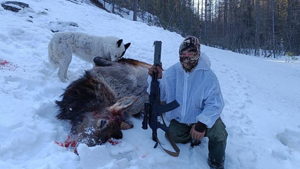 Охота на изюбря на отстое