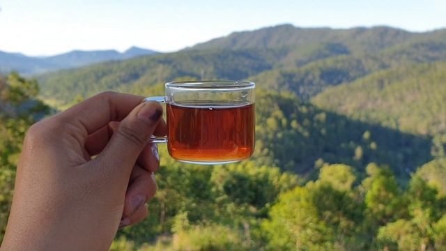 5317623-hd_1920_1080_30fps