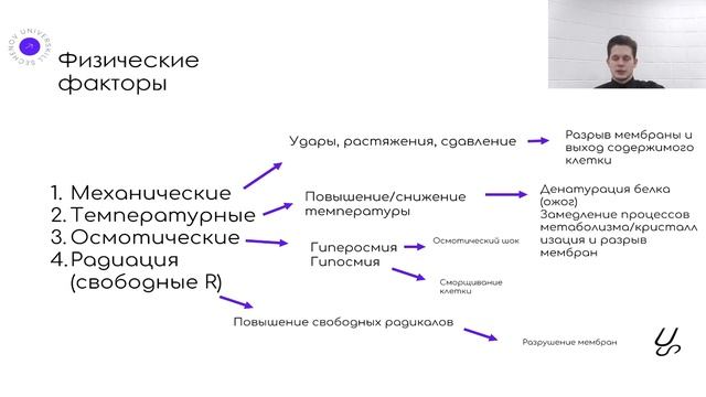 Патологическая физиология | Типовые процессы. Механизмы повреждения клеток