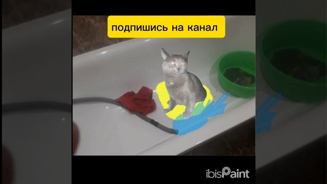 Нигде поссать нельзя