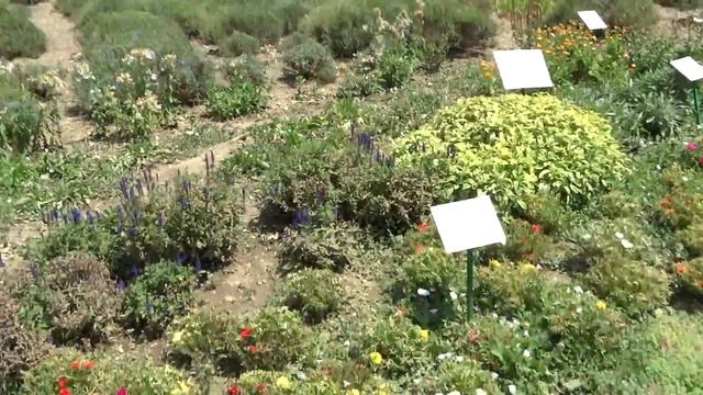 В Крым на машине 2016| День 17.  Массандровский дворец Никитский Ботанический сад