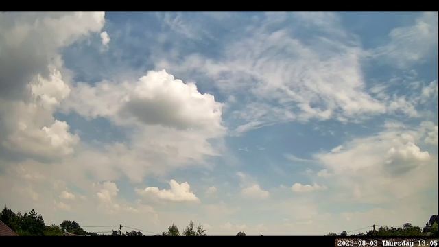 НН#7. Summertime wellness. 2023.08.07