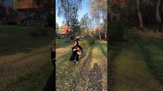 Коржик выучил новую команду #коржмарти #корги #дрессировка #любовь #corgi #dog #love #animals