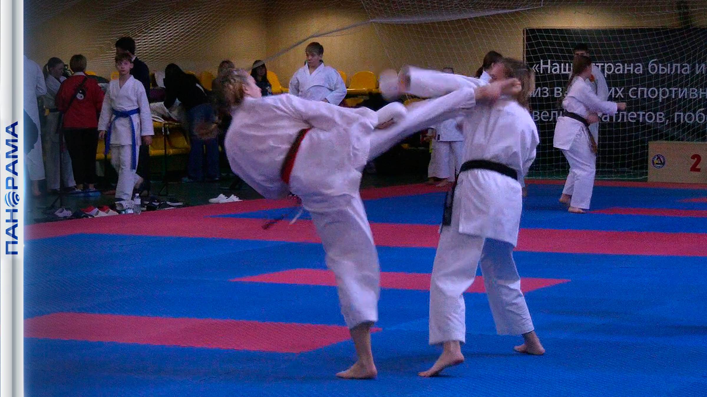 «Тигры Татами»: республиканский турнир по восточным единоборствам прошёл в Донецке