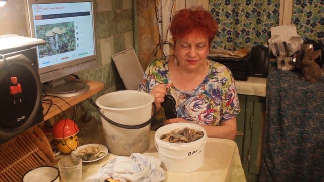 Горячее соление сыроежек. Подробный рассказ.