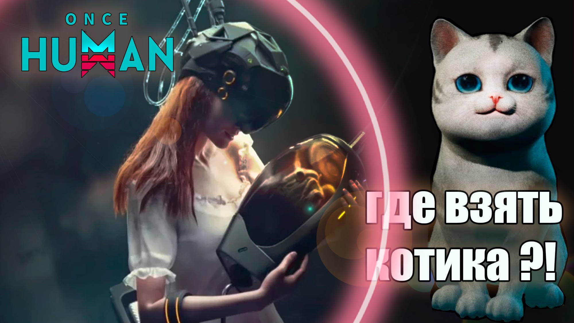 Once Human Где Найти Кота Девианта? Милый котик для сна 😻