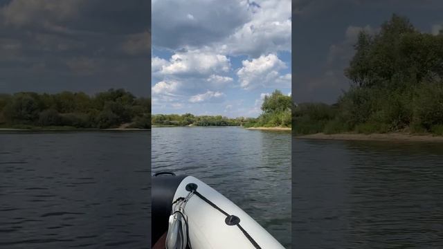 Прошла карьер, выхожу на Оку#shorts #short #реки