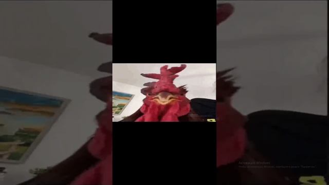 Питух диктует советы как осел над ним засмеялся хаххахаха #приколы