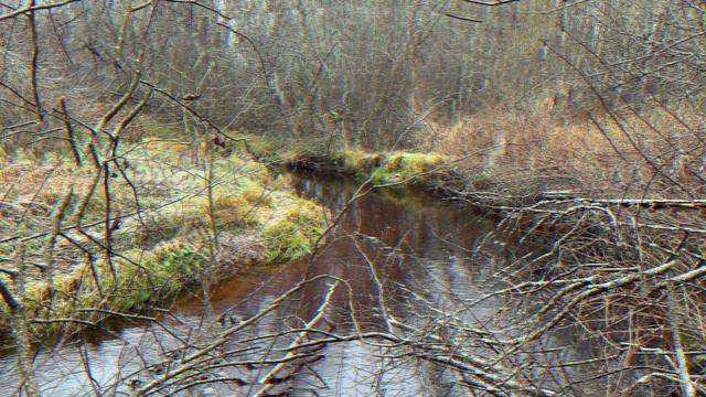 Речка Чёрная, первый снег в ноябре 2024