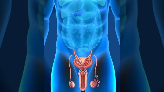 Исцеление всех болезней мужской половой системы - сеанс Алмазные рейки