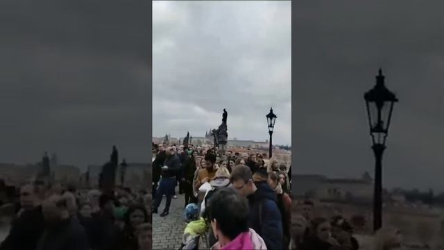 Карлов Мост в Праге#shorts #short #shortsvideo #чехия #прага
