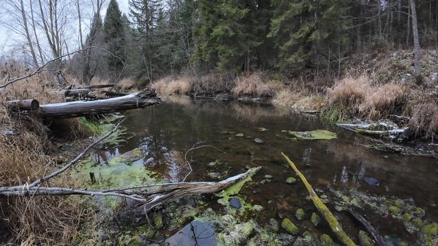 Сплав по реке Комёла .