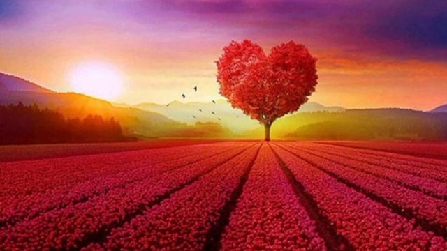 Лечение человека - сеанс Алмазные рейки