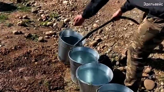 Акция Сохраним лес