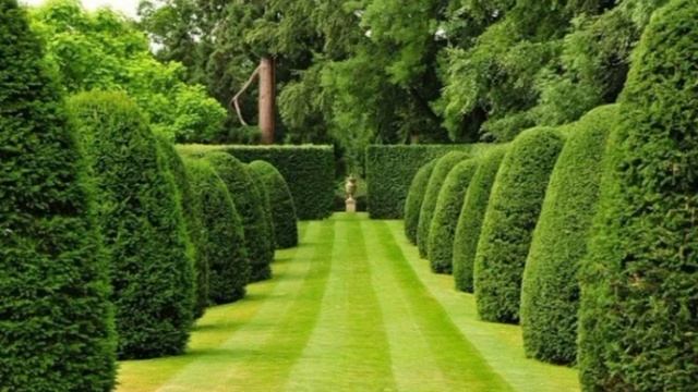 Защита от негатива - сеанс Кундалини рейки