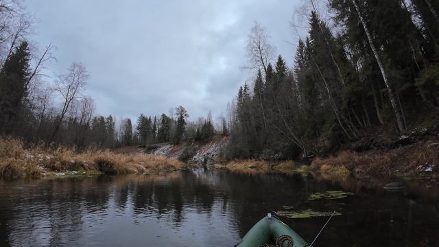 Река Комёла . Вологодская область , Грязовецкий район .