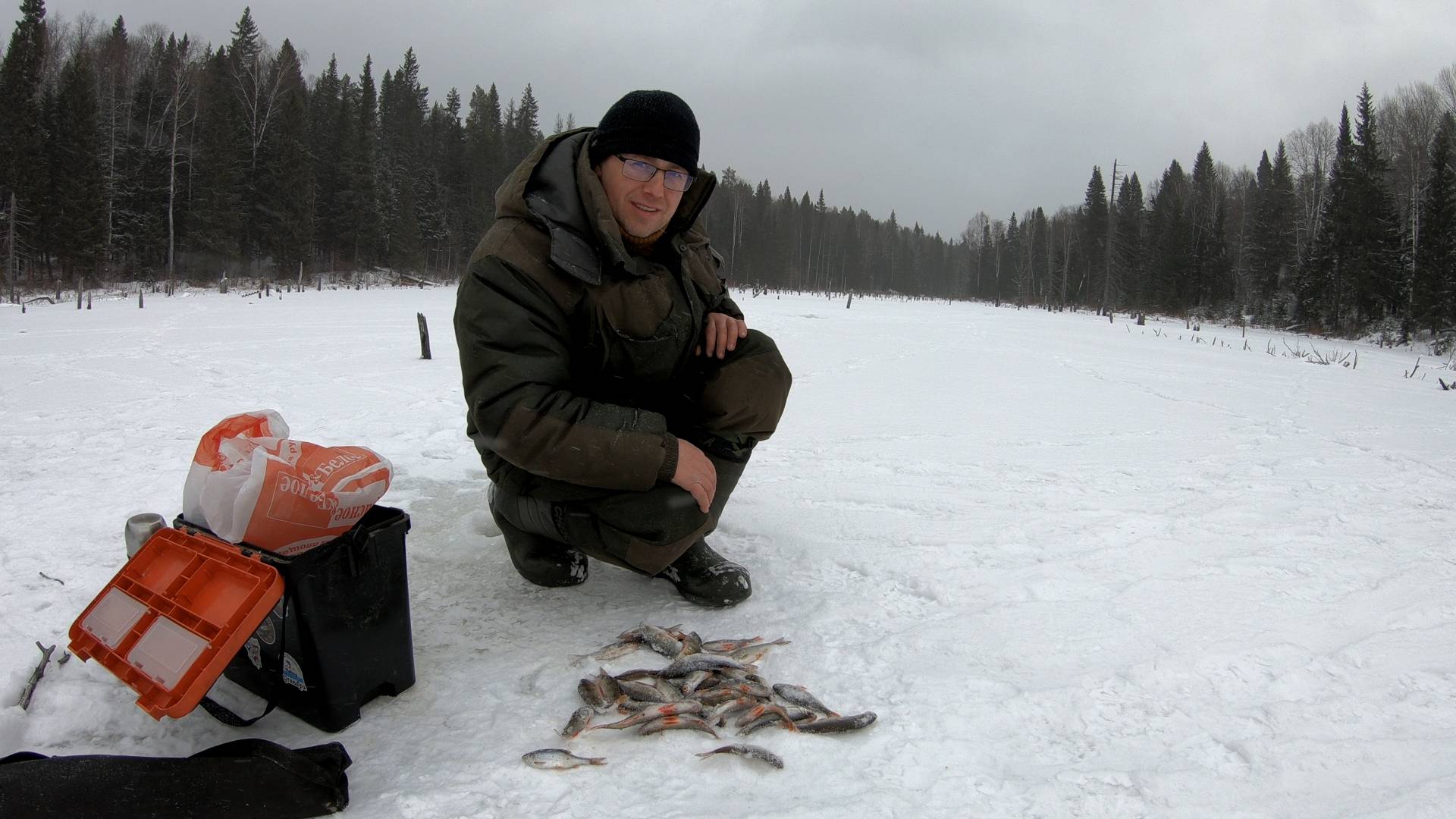 Первый лёд. Рыбалка на лесном пруду. 08.11.2024
